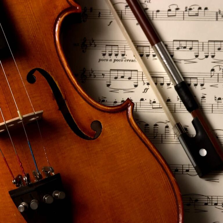 The Fretted Violin: A Unique Instrument to Play! - Violinspiration