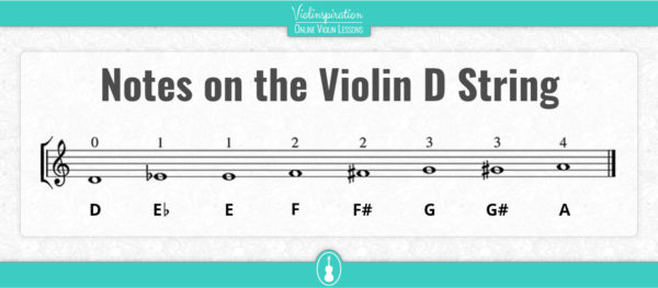 All Violin Notes on the D String [with Easy PDF Charts] - Violinspiration