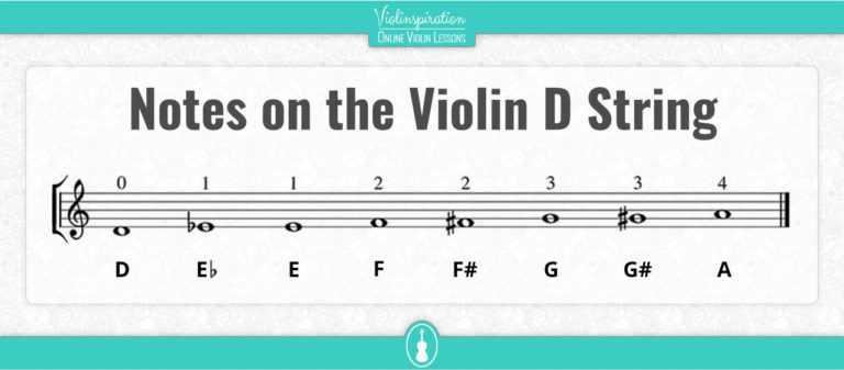 All Violin Notes on the D String [with Easy PDF Charts] - Violinspiration