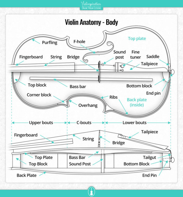 What is a Violin Made Of? - Violinspiration