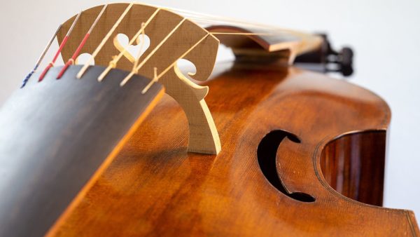 What is an F-Hole on the Violin? - Violinspiration