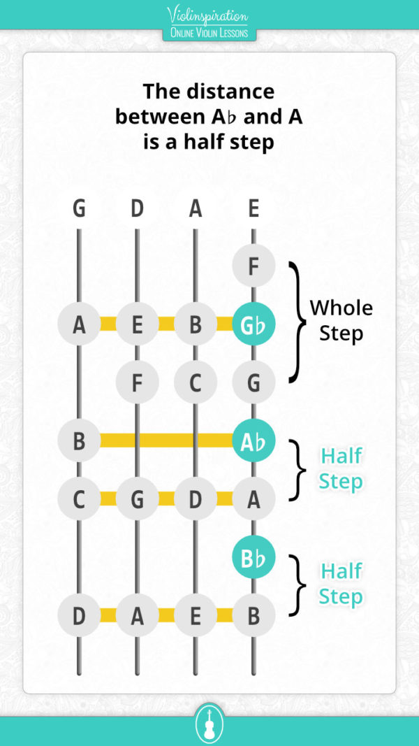 Half Steps and Whole Steps - Music Theory in a Nutshell - Violinspiration